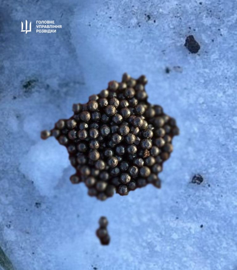 Россияне применили новый дрон: что стоит знать запорожцам